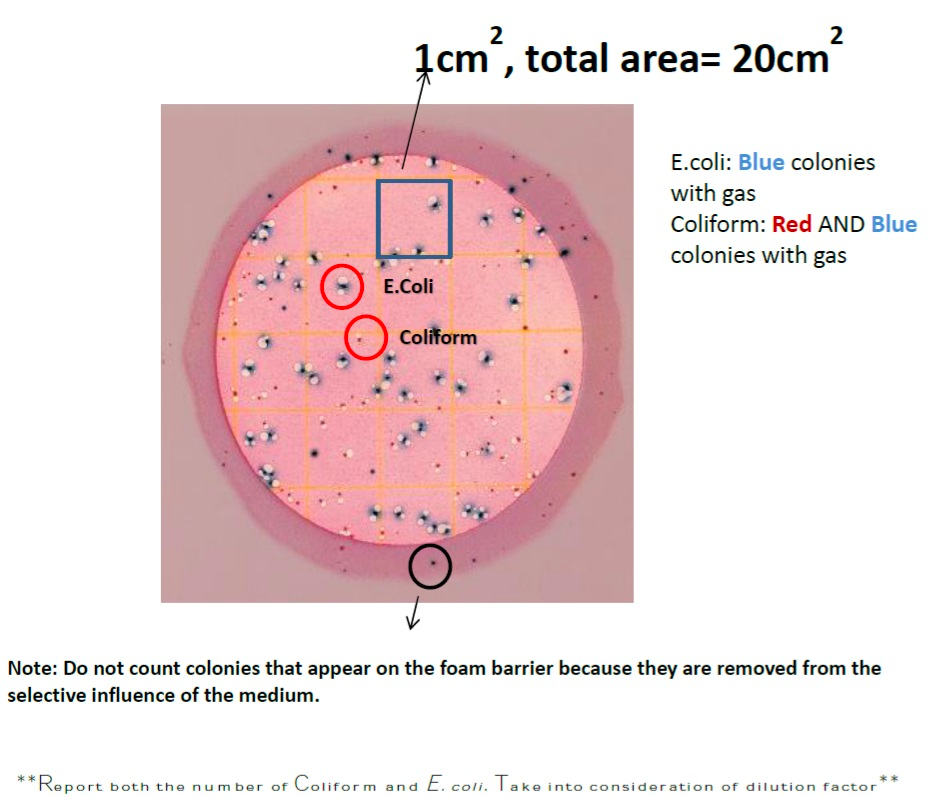 Solved Food Microbiology Laboratory | Chegg.com