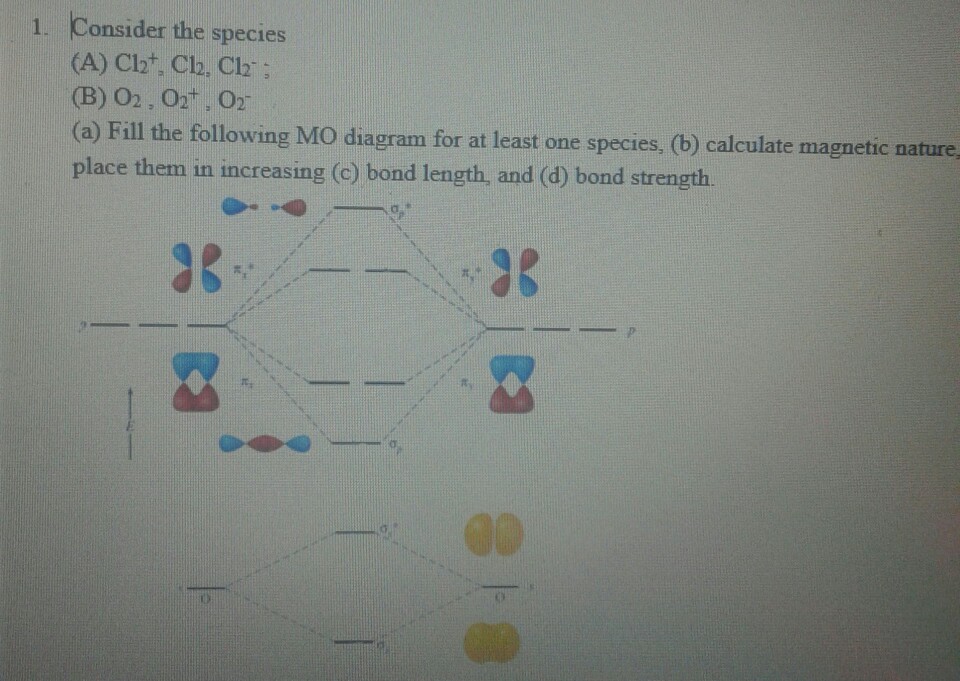 Solved Consider the species (A) Cl2t. Ch, Cl2 (B) 02, 02t.O | Chegg.com