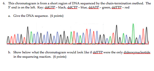 Dna Chromatogram