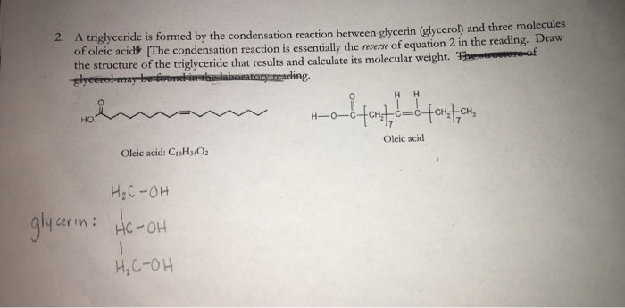 Solved A triglyceride is formed by the condensation reaction | Chegg.com