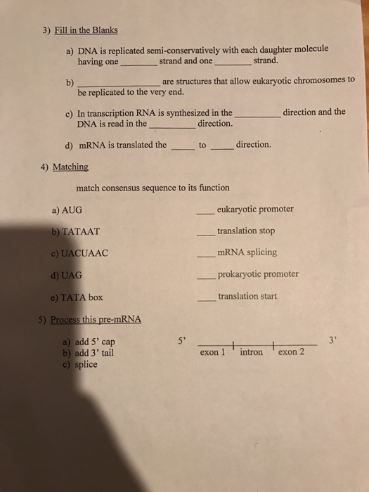Solved Fill in the Blanks DNA is replicated | Chegg.com