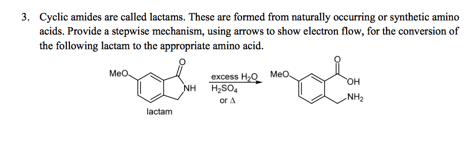 Solved Cyclic amides are called lactams. These are formed | Chegg.com