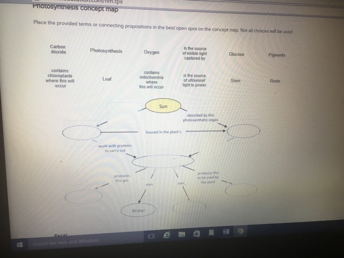 Solved Place the provided terms or connecting proposition in | Chegg.com