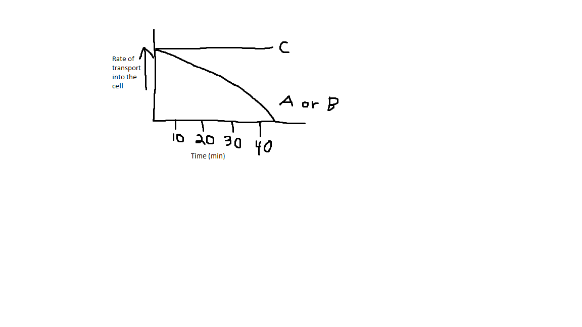 Solved B.) The graph directly above shows the rate of | Chegg.com