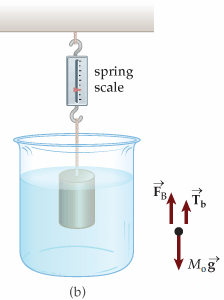 Solved When an object is suspended from a spring balance | Chegg.com