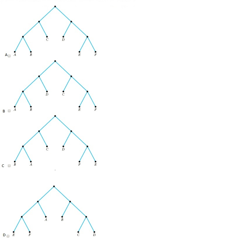 Solved Question12 6.1.003 - Draw two different full binary | Chegg.com