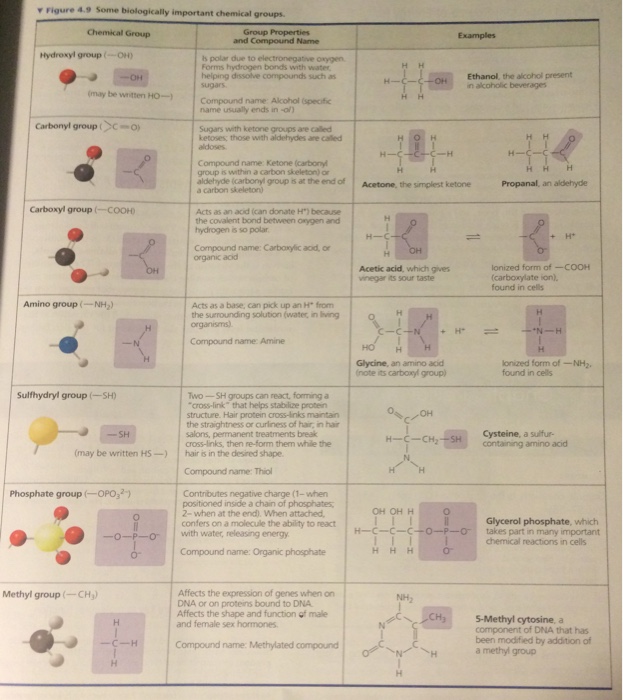 Solved Chemical groups. Refer to Fig4.9. What is the name of | Chegg.com