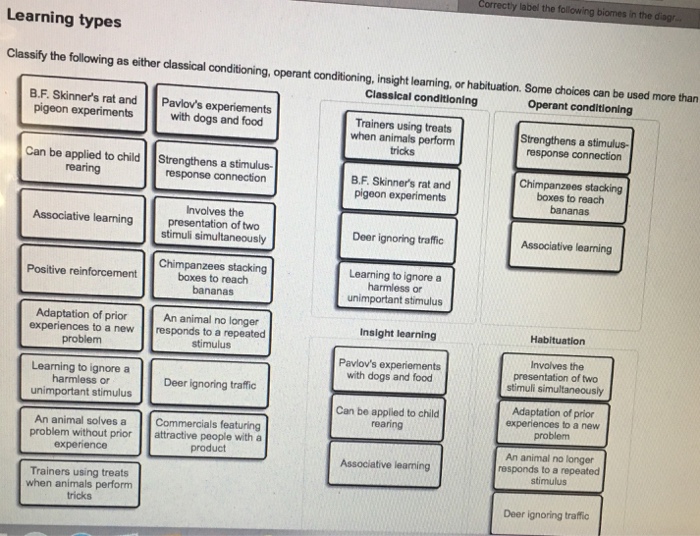 Classify the following as either classical | Chegg.com