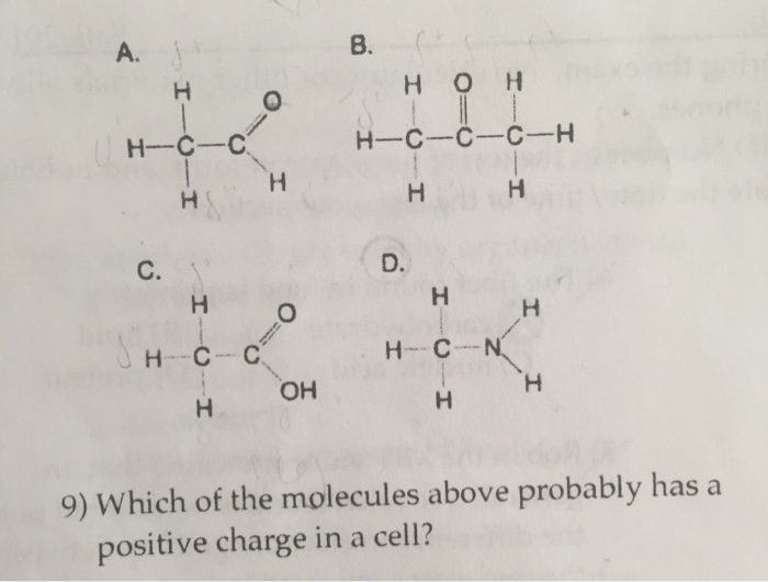 Solved Which of the molecules above probably has a positive | Chegg.com