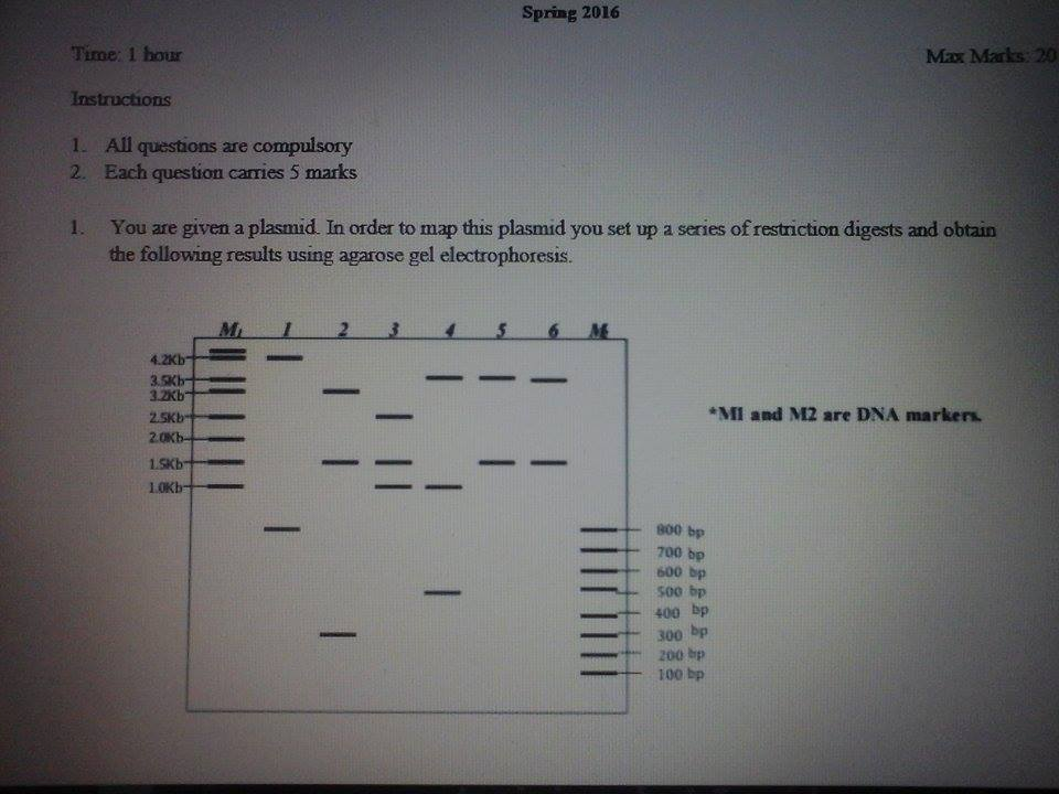 Solved You are given a plasmid. In order to map this plasmid | Chegg.com