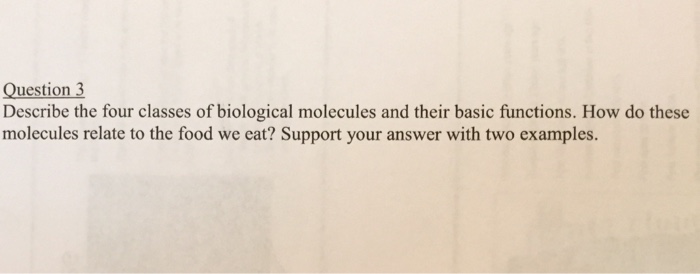 Solved Describe the four classes of biological molecules and | Chegg.com