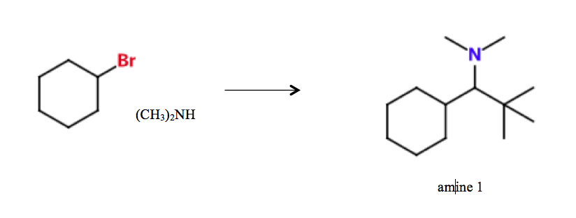 Solved (CH3)2NH amine 1 | Chegg.com