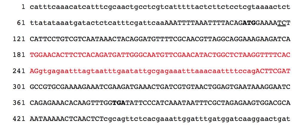 Solved Problem 1. See below DNA sequence of a small | Chegg.com