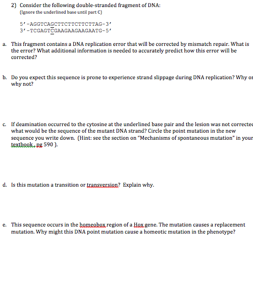 Solved Consider the following double-stranded fragment of | Chegg.com