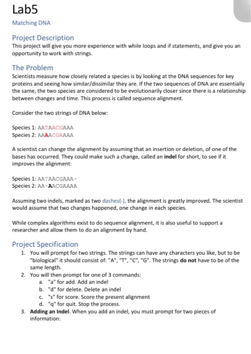 Solved Lab5 Matching DNA Project Description This project | Chegg.com