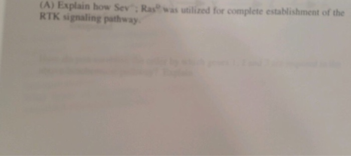 Solved Explain how Sev^2; Ras^D was utilized for complete | Chegg.com