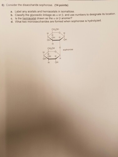 Solved Consider the disaccharide sophorose. a. Label any | Chegg.com