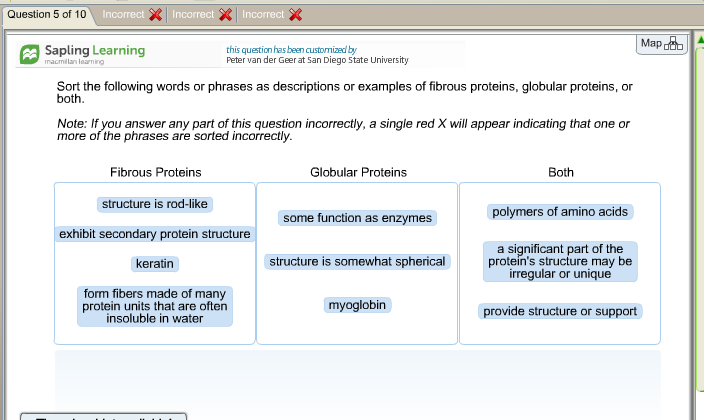 Solved Sort the following words or phrases as descriptions | Chegg.com