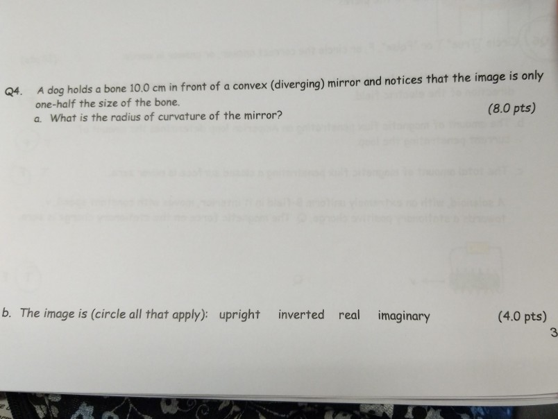 Solved Q4. A dog holds a bone 100 cm in front of a convex | Chegg.com