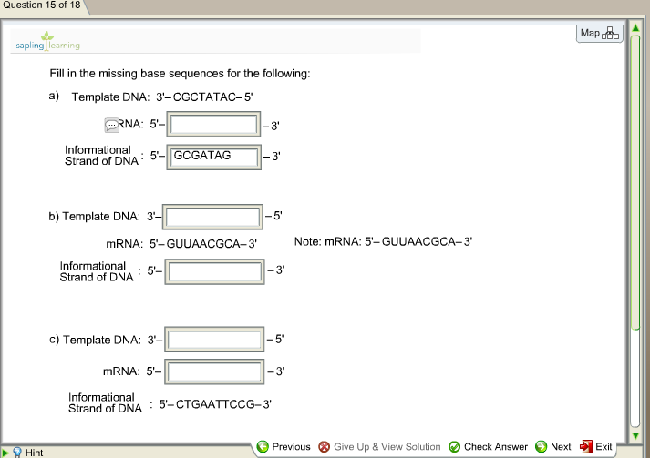 Solved Question 15 of 18 Map pling Fill in the missing base | Chegg.com