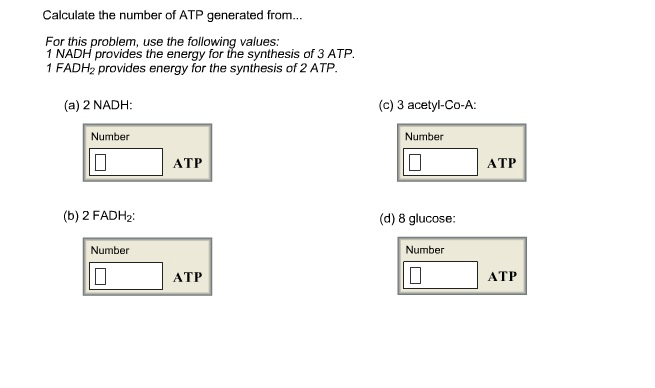 Solved Calculate the number of ATP generated from... For | Chegg.com