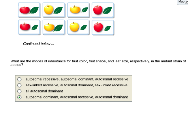 Solved Suppose that the wild type phenotype for apples is | Chegg.com