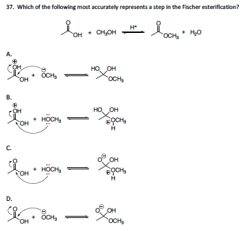 Solved Which of the following most accurately represents a | Chegg.com
