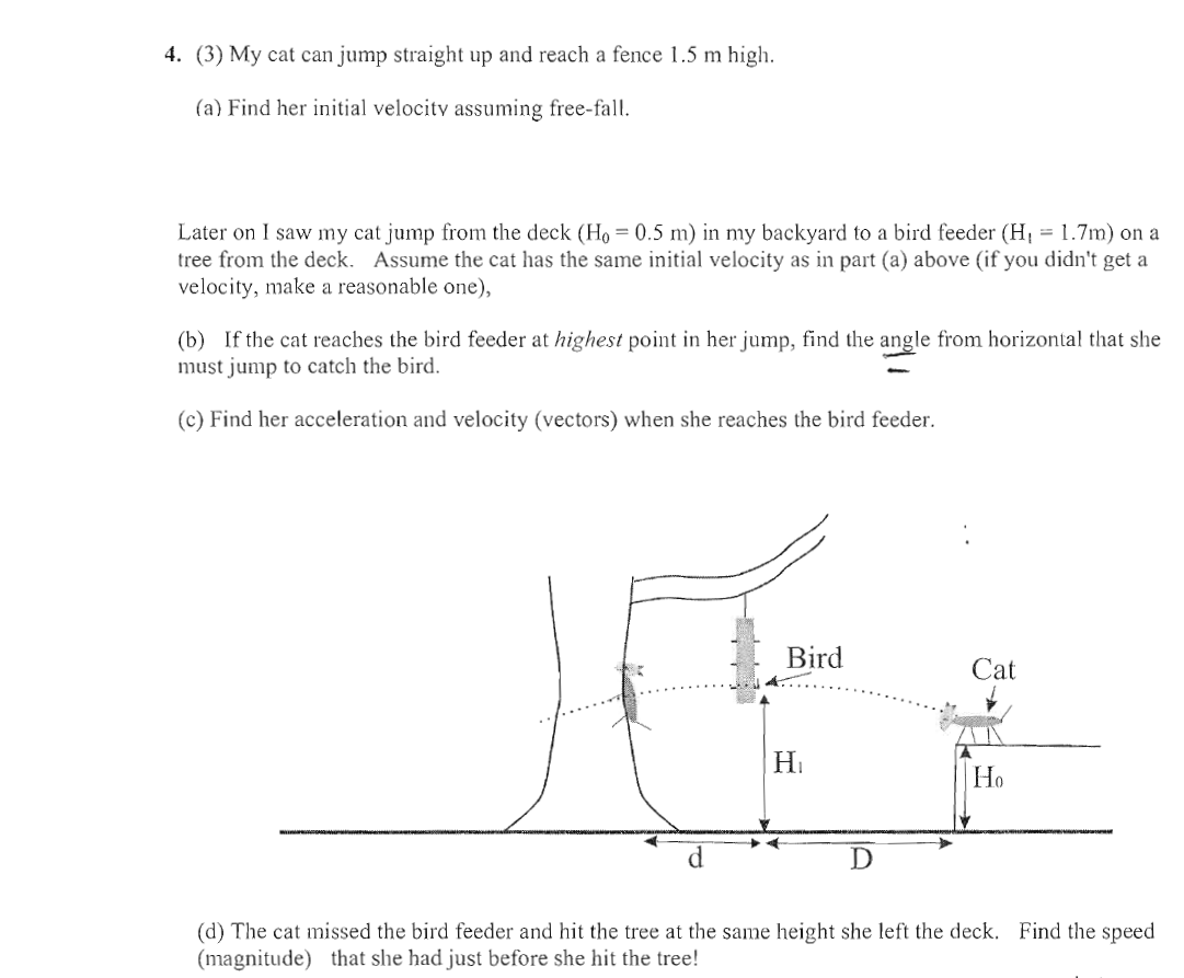Solved My cat can jump straight up and reach a fence 1.5 m | Chegg.com