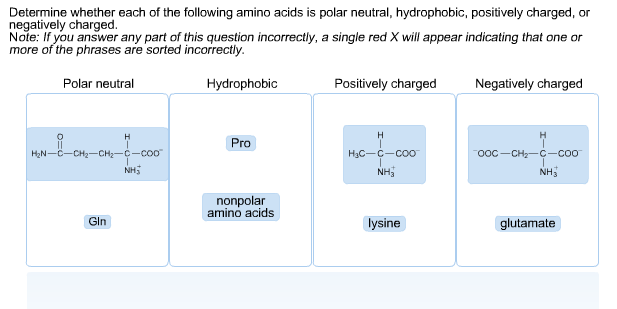 Solved Determine whether each of the following amino acids | Chegg.com