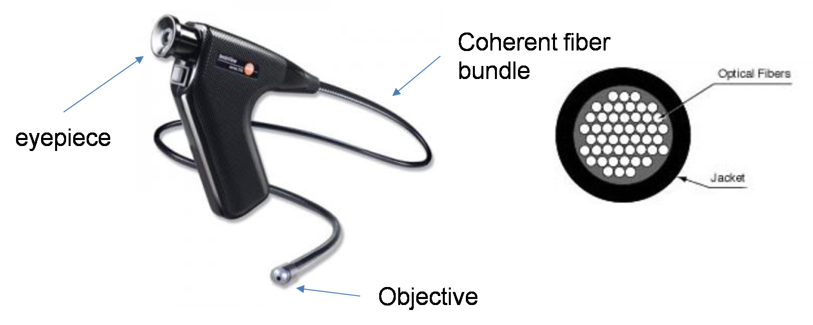 (Please show all work!) A simple fiberoptic scope | Chegg.com