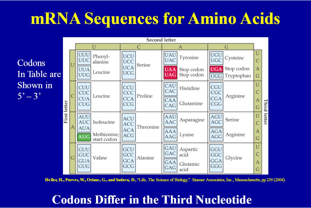 Please, Can someone help me in filling this table | Chegg.com