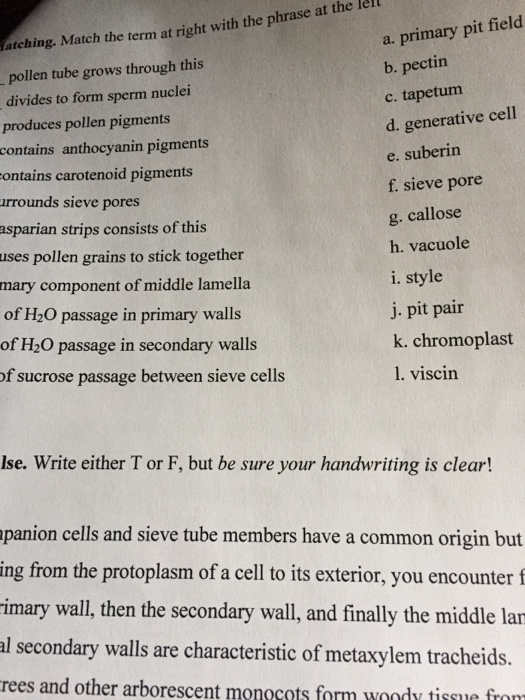 contains lefl phrase at the ent Match the term at | Chegg.com