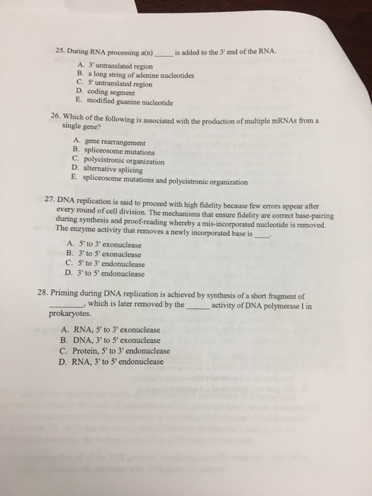 Solved During RNA processing a(n) is added to the 3'end of | Chegg.com