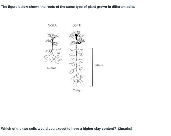 Solved The figure below shows the roots of the same type | Chegg.com