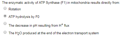 Solved The enzymatic activity of ATP Synthase (F1) in | Chegg.com