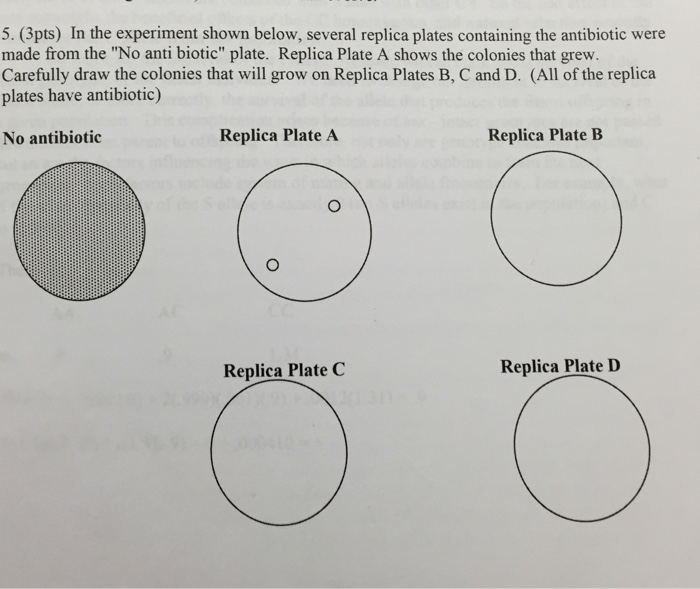 Solved In the experiment shown below, several replica plates | Chegg.com