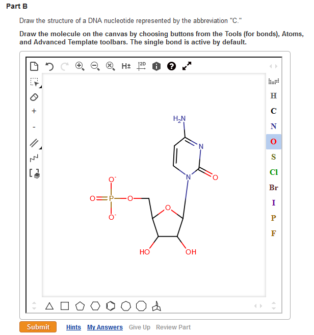 Solved Draw the structure of a DNA nucleotide represented by | Chegg.com