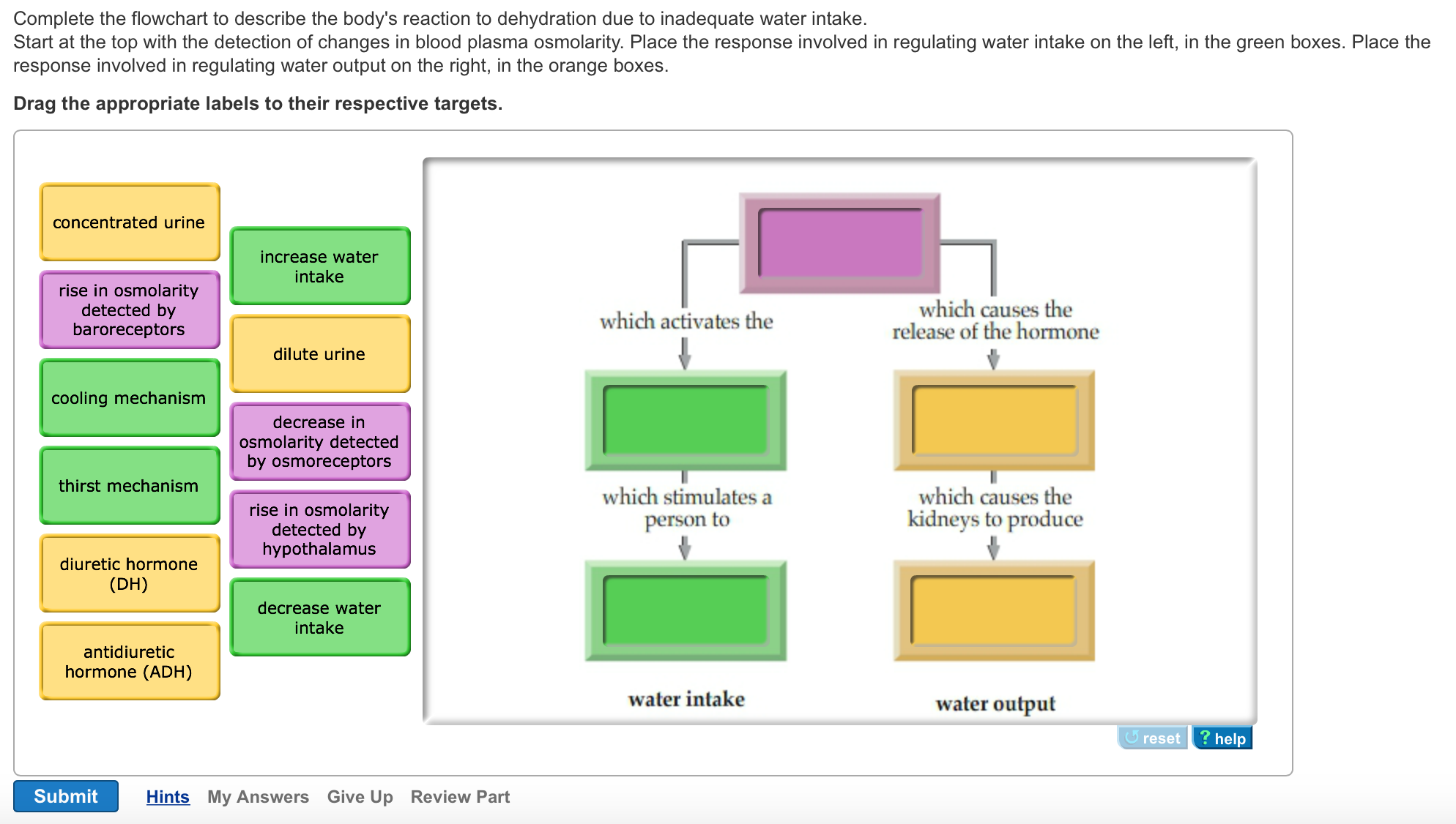 Solved Complete the flowchart to describe the body's | Chegg.com