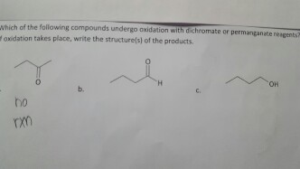 Solved Which of the following compounds undergo oxidation | Chegg.com