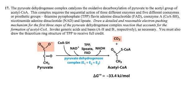 Solved The pyruvate dehydrogenase complex catalyzes the | Chegg.com