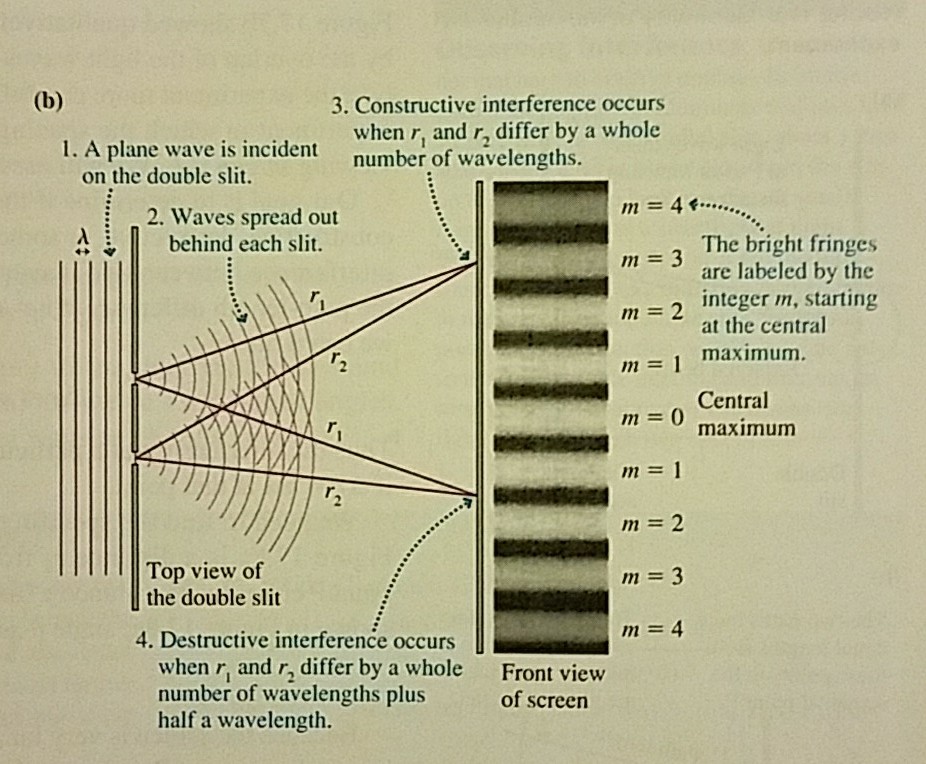 Solved 3. Constructive interference occurs 1. A plane wave | Chegg.com