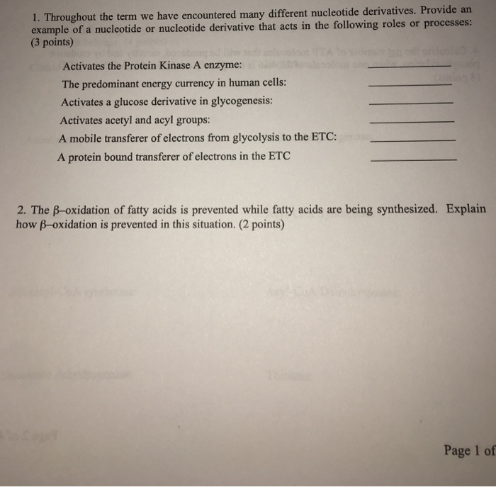 Solved Throughout the term we have encountered many | Chegg.com