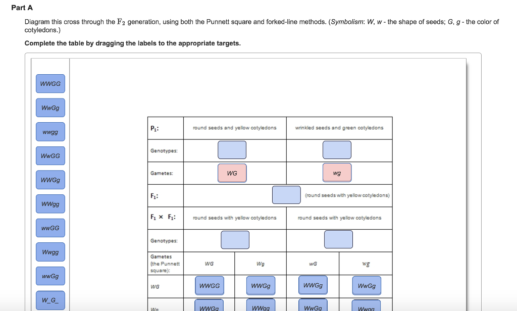 Solved Part A Diagram this cross through the F2 generation, | Chegg.com