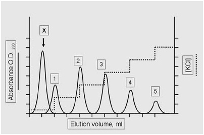 Solved The graph depicts the elution profile from a | Chegg.com