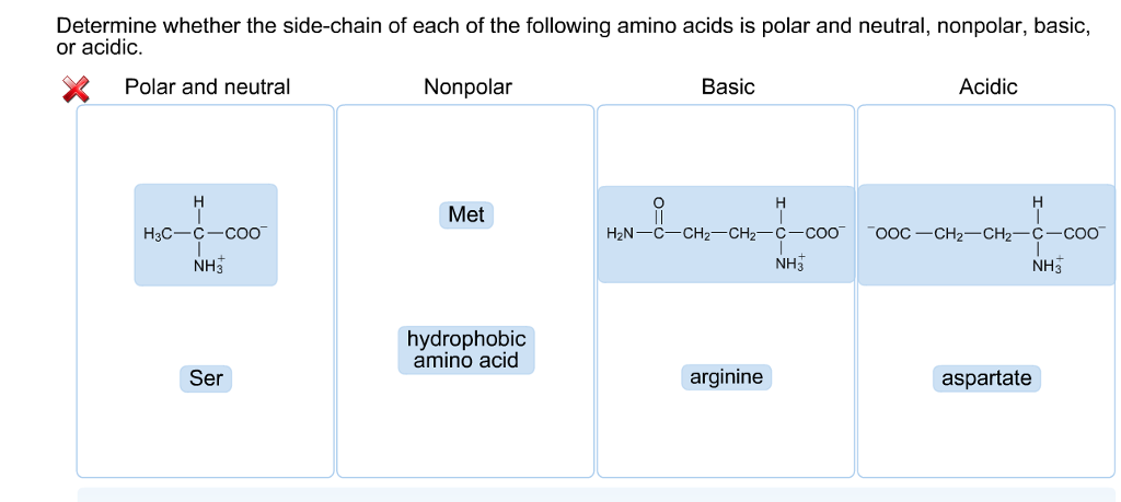 Solved Determine whether the side-chain of each of the | Chegg.com