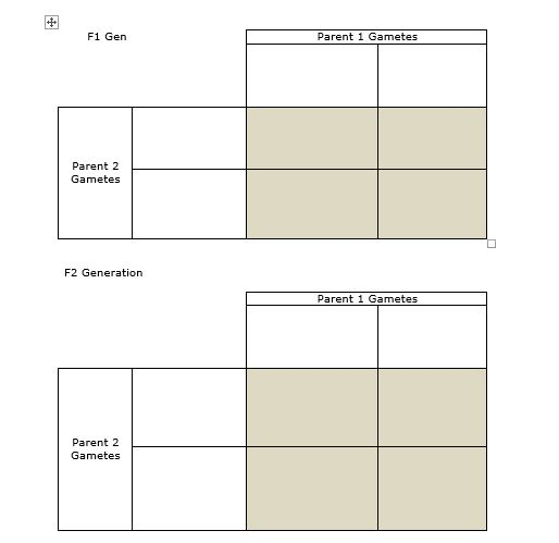 Solved Help with Punnet Square F1 and F2 Generations. I | Chegg.com
