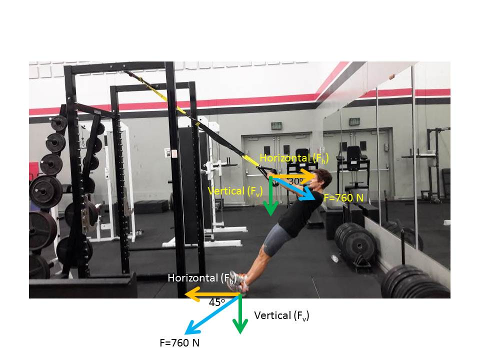 Solved Solve for the Horizontal and Vertical Forces for the | Chegg.com