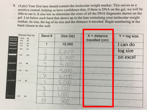 (Solved) - DNA PEASE HELP me fill out this information, I'm so lost on ...