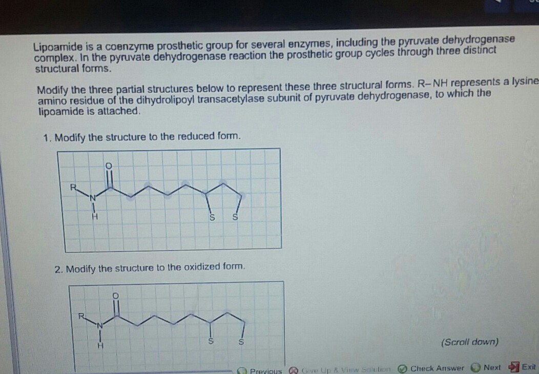 Solved Lipoamide is a coenzyme prosthetic group for several | Chegg.com