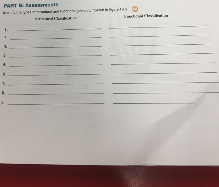 Solved Part B Assessments Identify The Types Of Structural